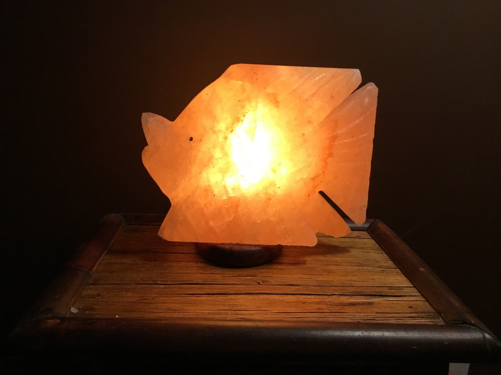 Fish Crafted Himalayan Salt Lamp – 5 Star Salt Caves